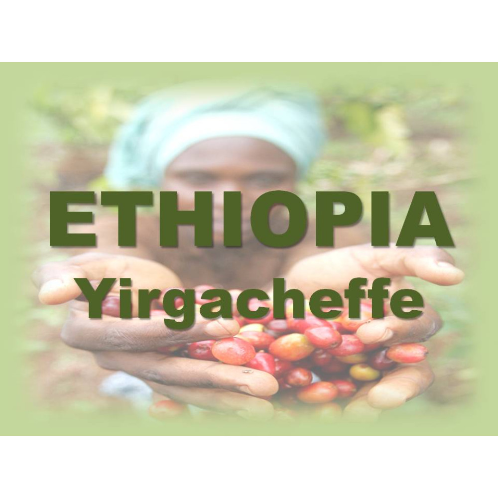 Ethiopia Yirgacheffe - 1 kg. | Martines Specialty Coffee